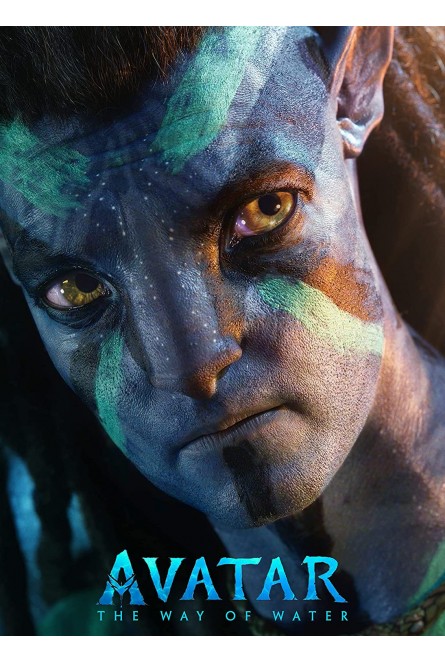 Avatar: El Sentido del Agua (Avatar: The Way of Water) (DVD) [DVD]